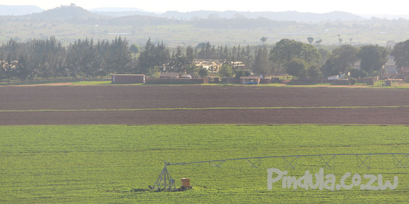 Govt plans to reduce farm sizes ⋆ Pindula News