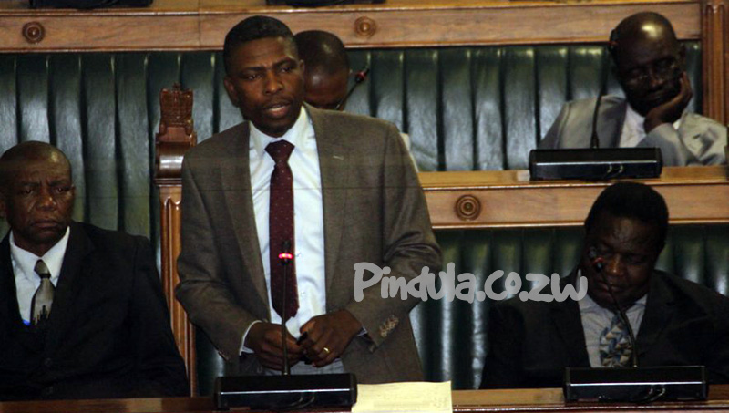 ZANU PF MP, Senior Cop In Court Over Illegal Gold Mining ⋆ Pindula News