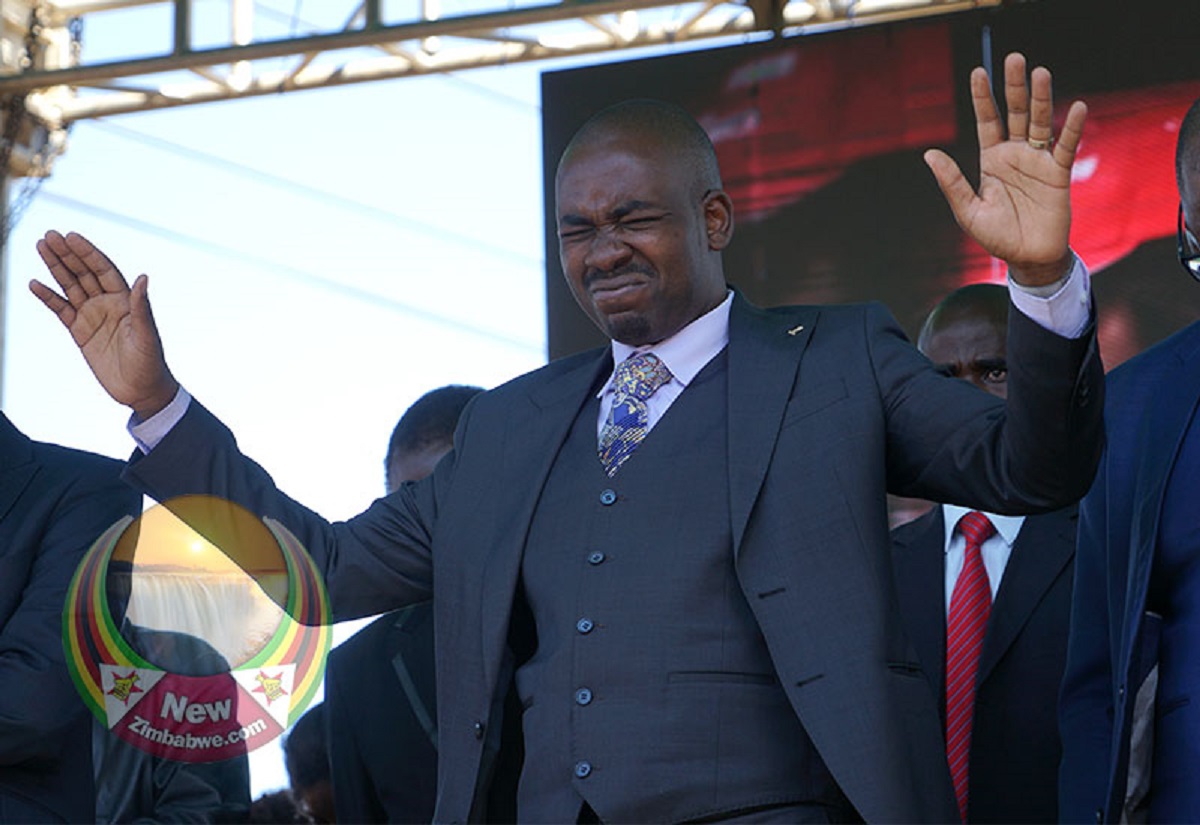 Chamisa's Claim To Legitimacy To Be Settled - Report ⋆ Pindula News