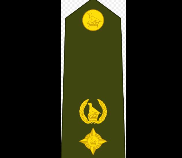 Lieutenant Colonel Edson Sithole Dies ⋆ Pindula News