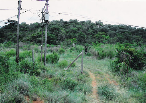 Displaced Chipinge Villagers Sleep In The Open For 2 Weeks ⋆ Pindula News