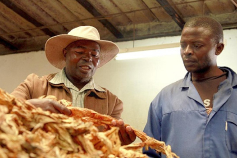 Successful Marondera Farmer Commits Suicide Following US $4M Dispute ...