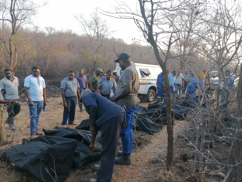 10 Farm Workers Die While Fighting Veld Fire In Esigodini ⋆ Pindula News