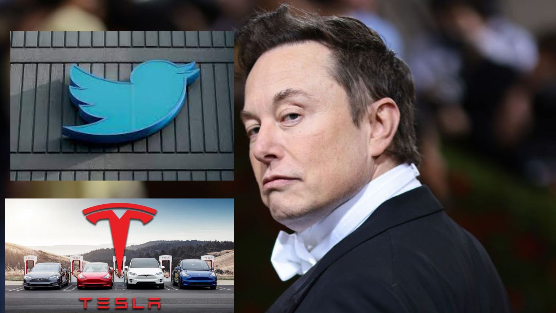 Tesla And Twitter CEO Elon Musk Loses US$200 Billion ⋆ Pindula News