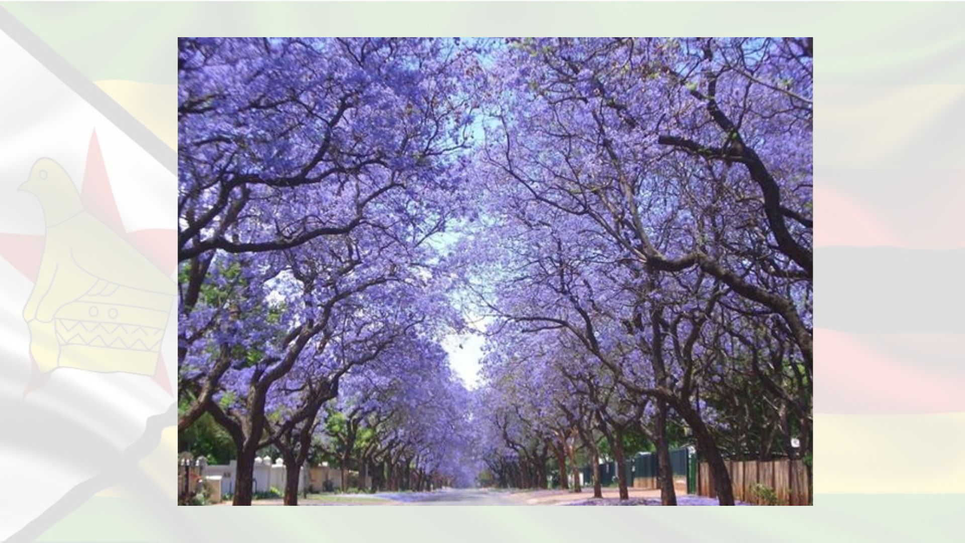 Govt Approves Plan To Build New Town For 30 000 Residents ⋆ Pindula News