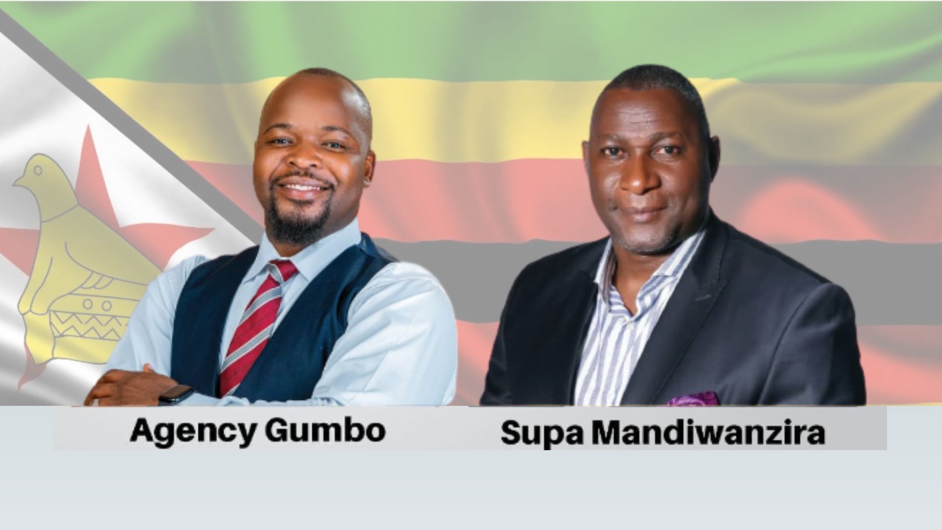 ZANU PF Gets 15 Out Of 22 Parliamentary Portfolio Committees ⋆ Pindula News