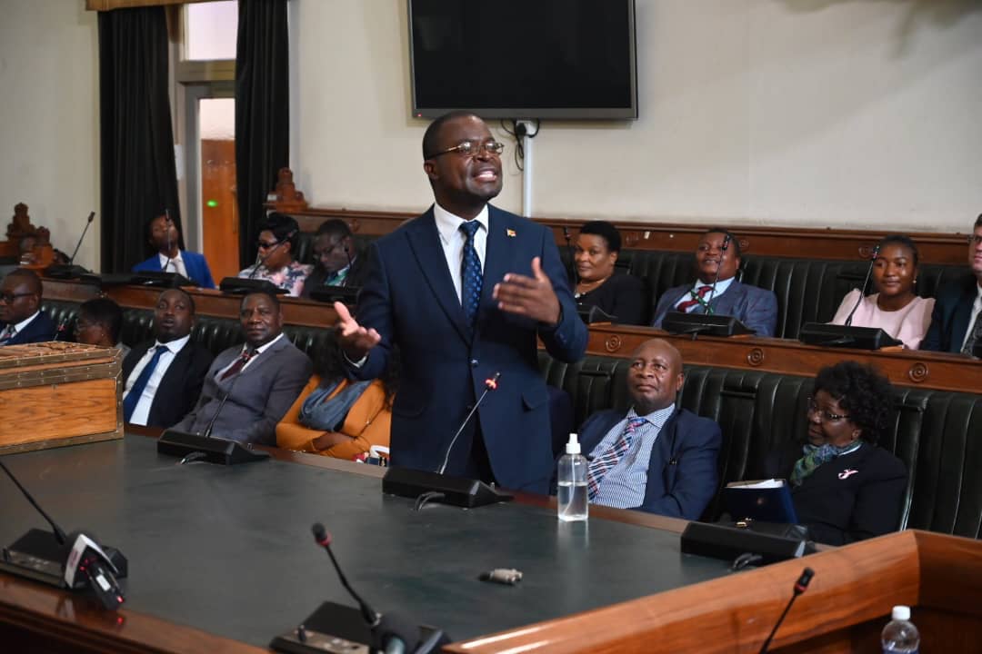 Zimbabwe Launches Bid For UN Security Council Seat ⋆ Pindula News