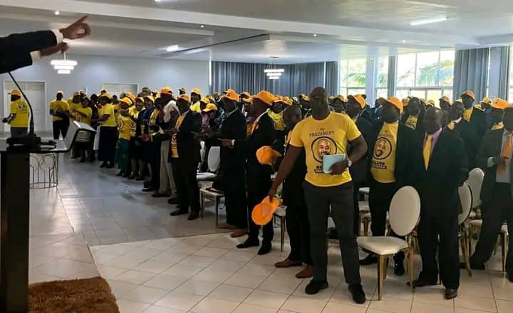 Matinenga's Proposal On The Course Of Action For CCC MPs Problematic ...