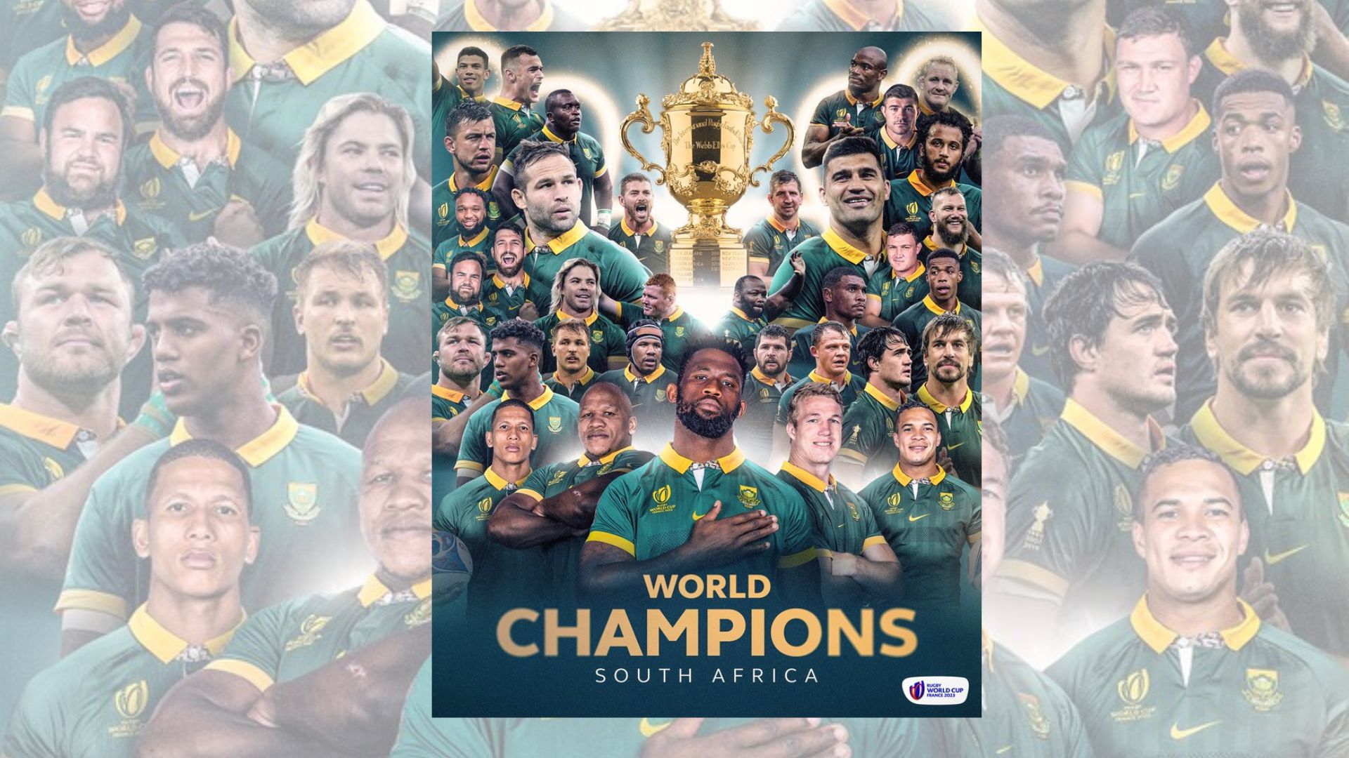 South Africa's Springboks Defeat New Zealand's All Black To Win Their ...