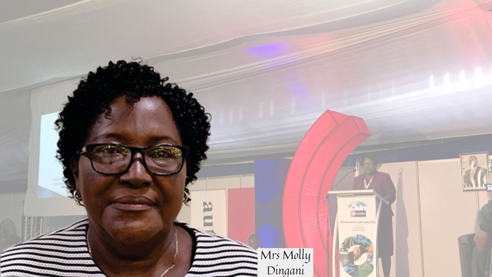 President Mnangagwa Approves Appointment Of Mrs Molly Dingani To NRZ ...