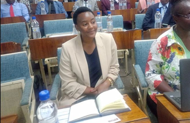 ECD Made Compulsory Under Zimbabwe Early Learners Policy ⋆ Pindula News