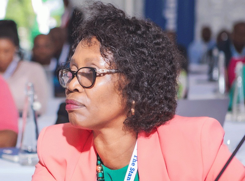 Government Orders ZESA To Exempt SADC Venues From Load Shedding ⋆ ...