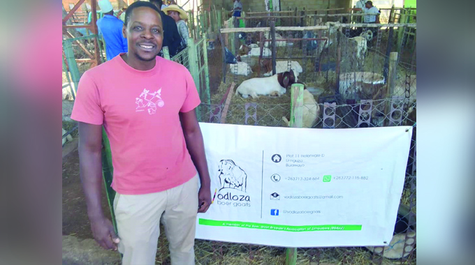 Zimbabwean Man Abandons UK Job To Venture Into Goat Farming ⋆ Pindula News