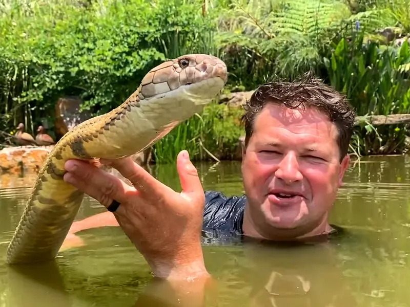 Renowned South African Snake Handler Dies From Green Mamba Bite ⋆ ...